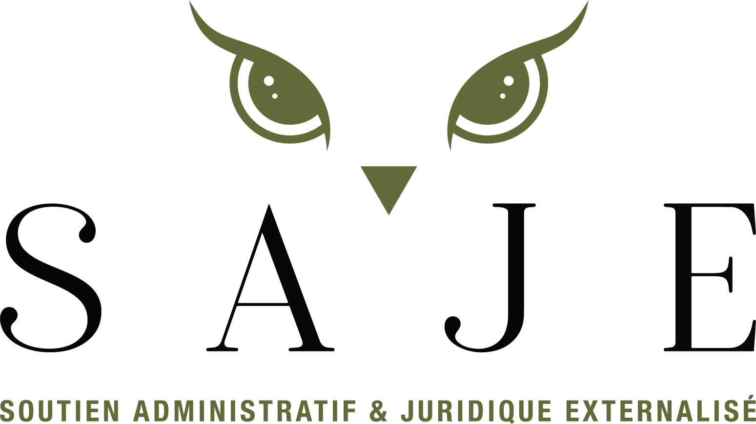 Home - Saje Solutions